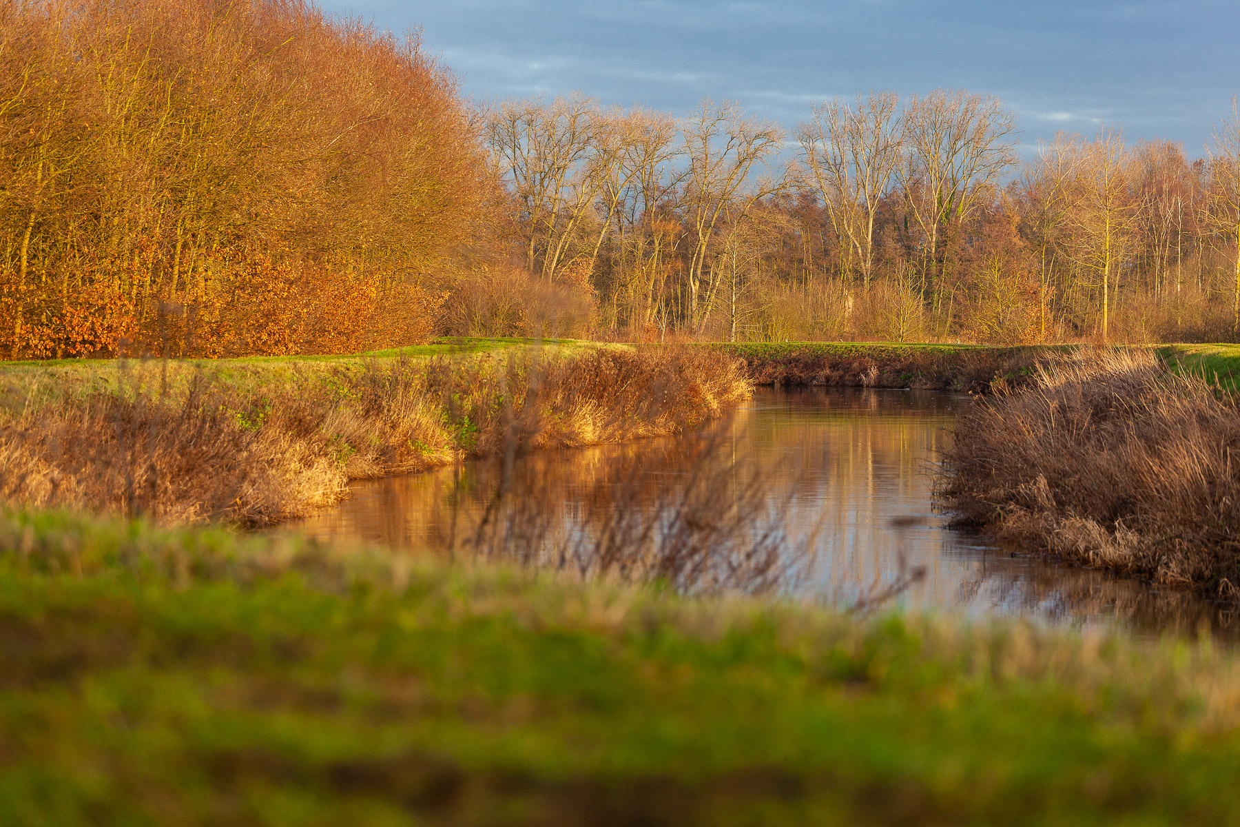 LANGS DE GROTE NETE | Glenn Vanderbeke | Fotograaf & Blogger